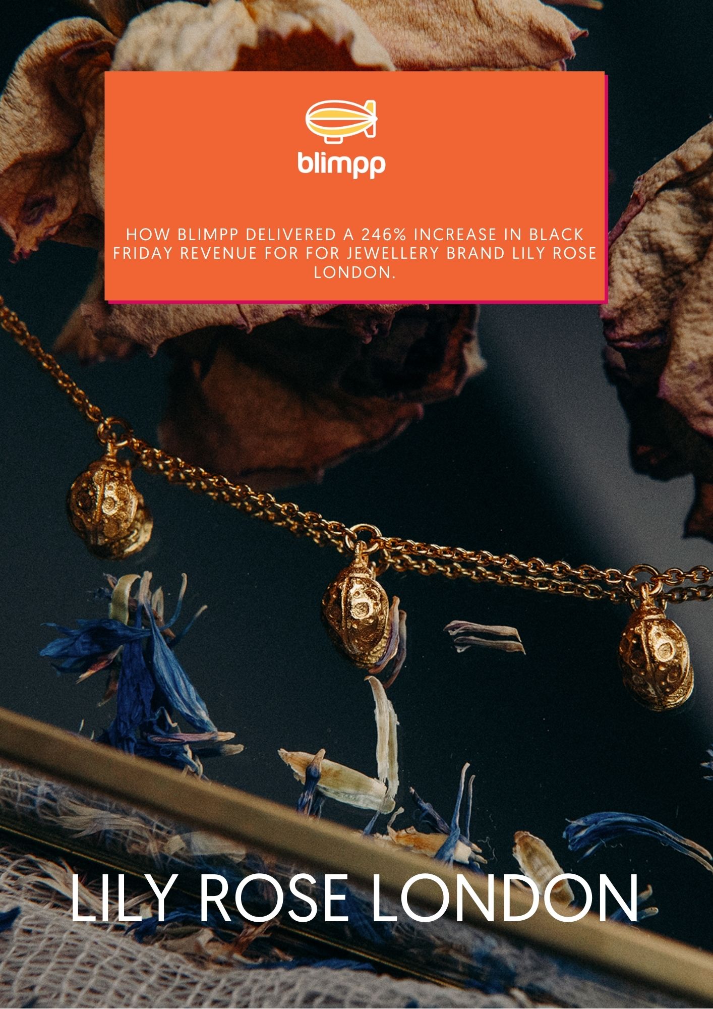 Case Studies | blimpp